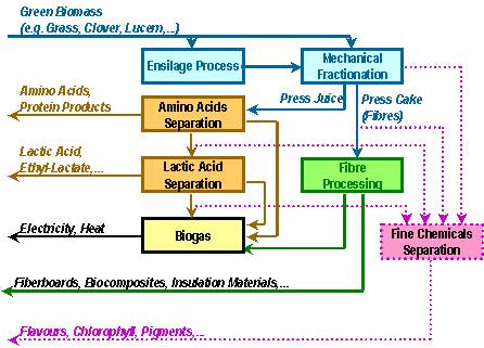Green Biorefinery - Primary Processing and Utilization of Fibres from ...